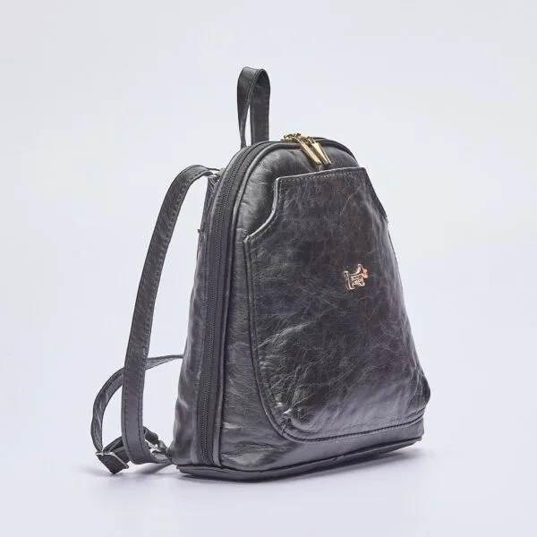 All Products | The Scotty Bag Co.